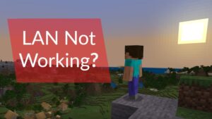 Minecraft LAN not working? How to Direct Connect? [Windows 10]