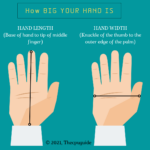 Choose The RIGHT Gaming Mouse? [Detailed Guide 2021]