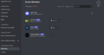 Discord Server Owner Crown? Crown Not Showing? [2025 FIX]