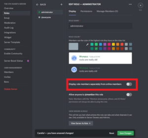 Discord Server Owner Crown? Crown Not Showing? [2026 FIX]