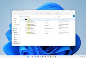 What is Conhost.exe? Console Windows Host High Memory?