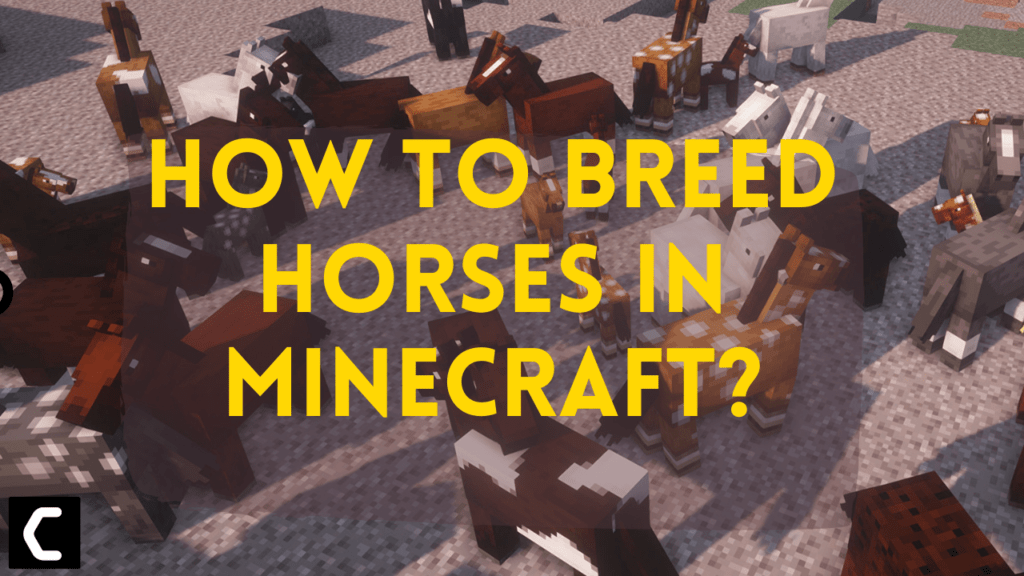 How to Breed Horses in Minecraft?