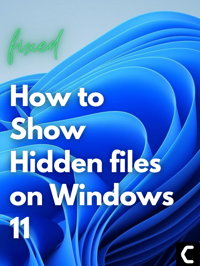How to Show Hidden files on Windows 11 Super Guide