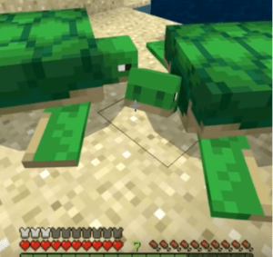 How To Breed Turtles in Minecraft? – TCG