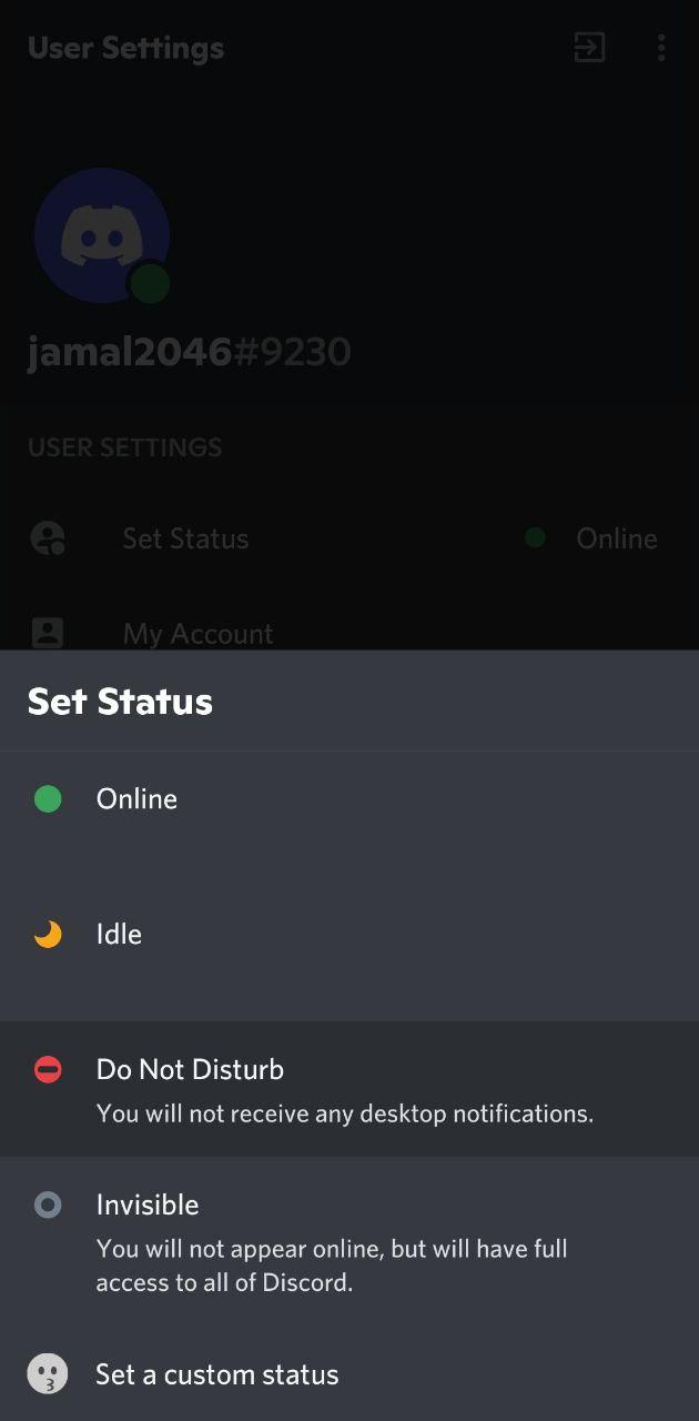Discord Do Not Disturb(D&D): How To Set On PC/Mobile 2025