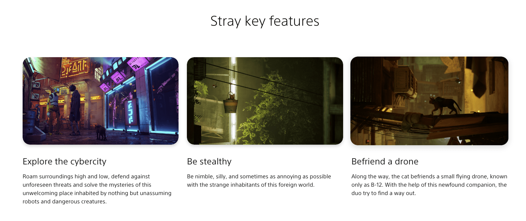 STRAY Game Review: A Cat's Narration! Meoww