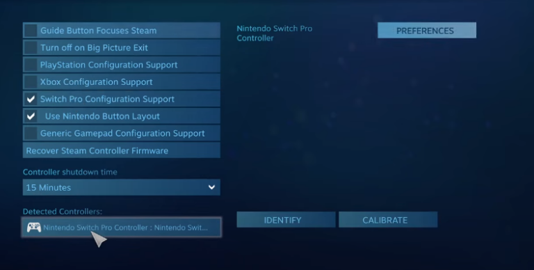 How to Connect Nintendo Switch Pro Controller With ROG Ally
