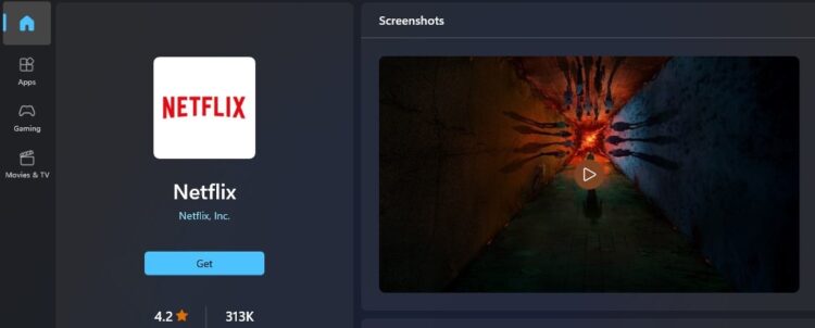How to Play Netflix on Asus ROG Ally In 2 Easy Ways [2025]