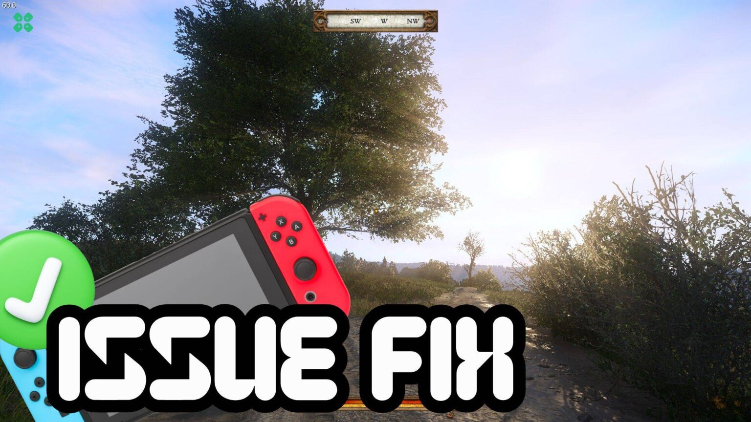 FIX: Kingdom Come: Deliverance Crashing on Nintendo Switch – TCG
