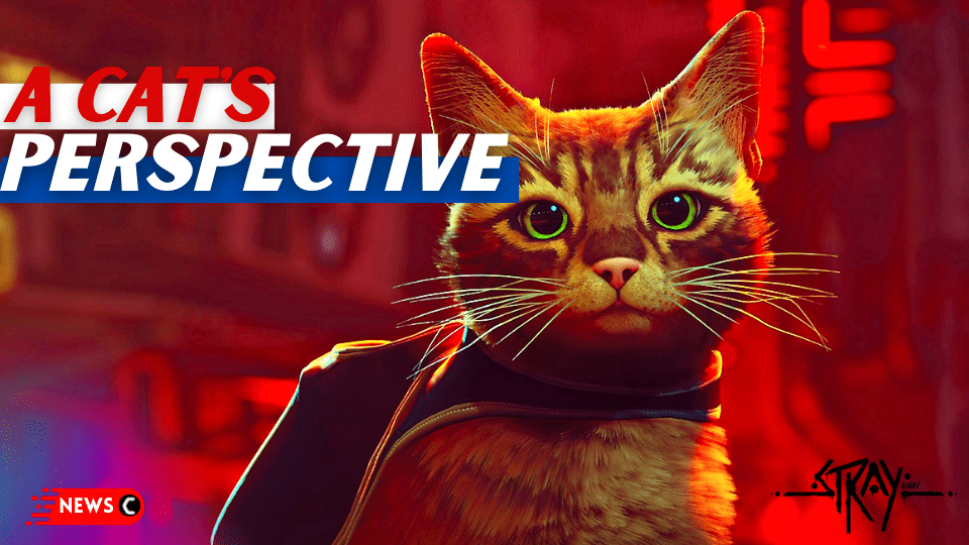 STRAY Game Review: A Cat's Narration! Meoww